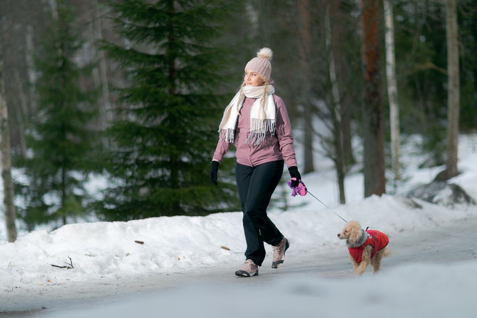 Joka kolmas suomalainen liukastuu talven aikana - Uutiset - Aamuset