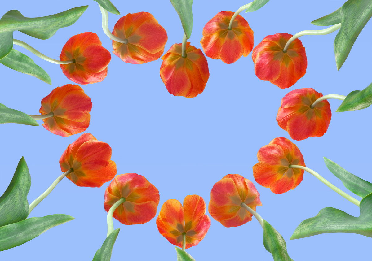 Kolumni: Kevät – pystynkö mitään enää antaan? - Kolumni - Aamuset