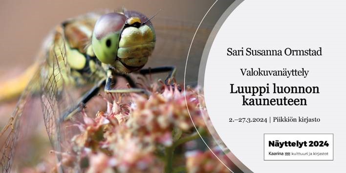 Luuppi luonnon kauneuteen - Kulttuuri - Aamuset