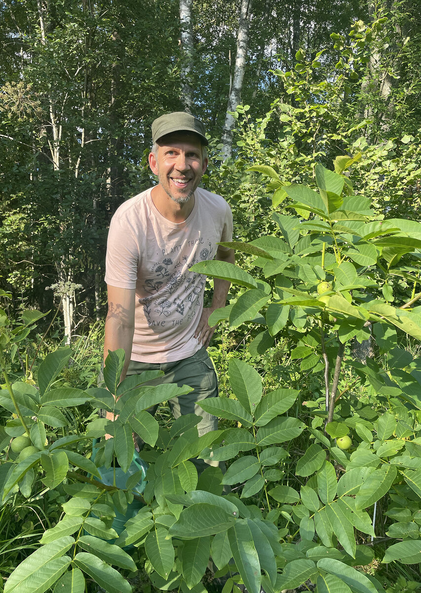 Pähkinämies kasvattaa pähkinöitä purtaviksi - Työ - Aamuset