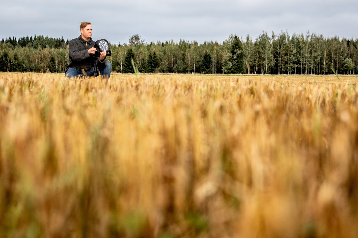 Valo ei ole koskaan samanlainen - Työ - Aamuset